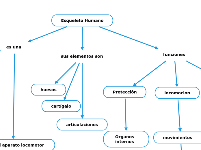 Esqueleto Humano - Mind Map